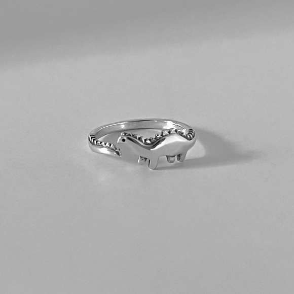 Jewelry | Sterling Silver Dinosaur Ring Dino Ring Silver Dino Ring ...